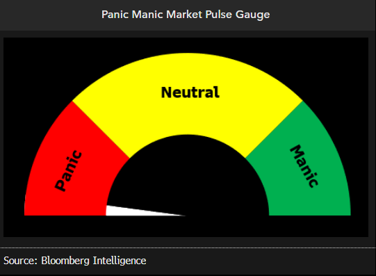 Everybody Panic! Bloomberg’s Market Pulse Gauge Signals PANIC As The ...